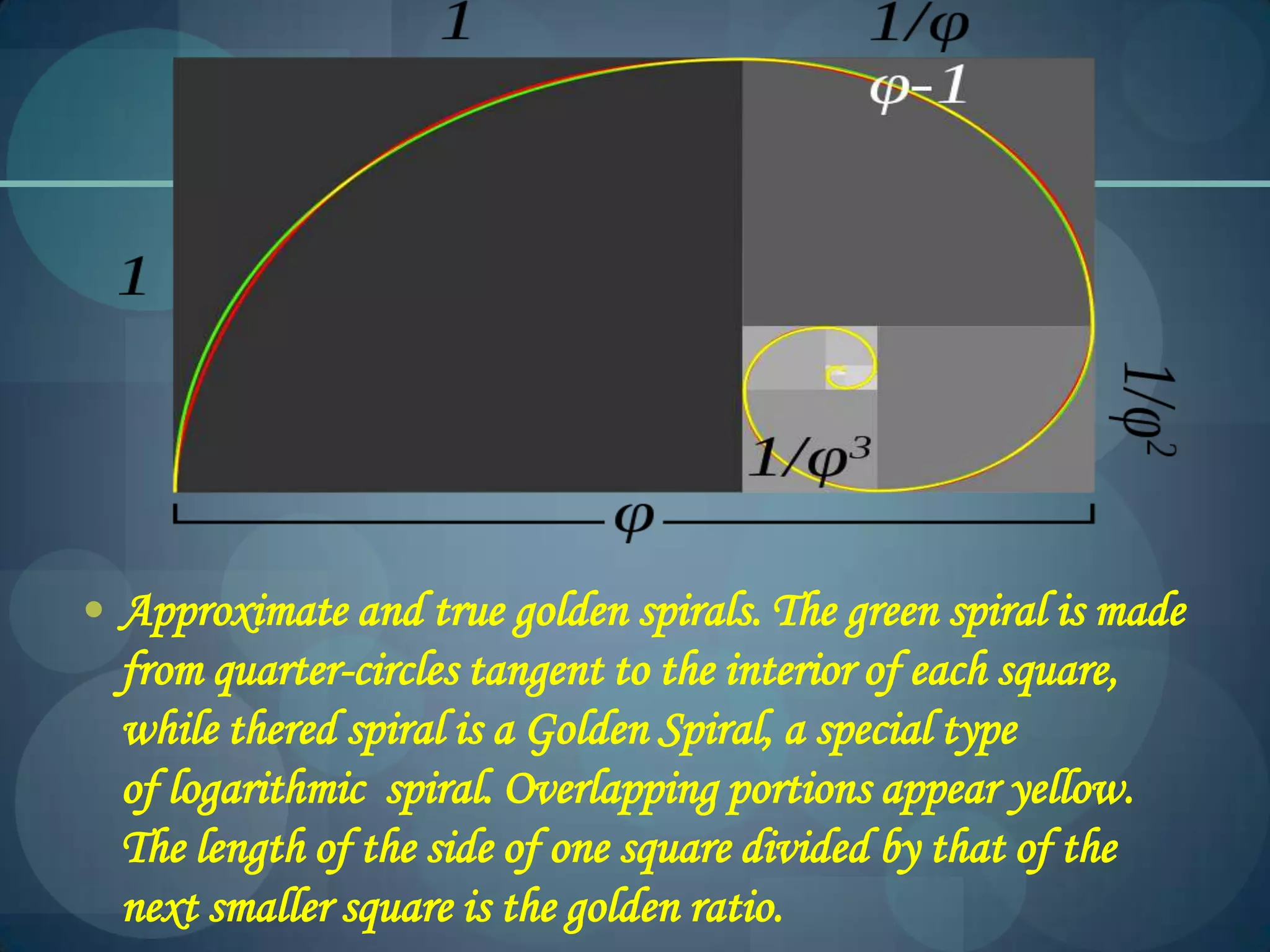 Golden ratio and golden rectangle | PPTX