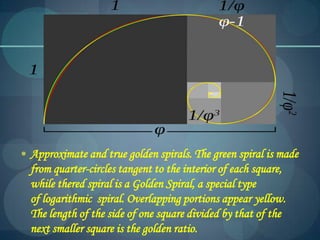 Golden ratio and golden rectangle | PPTX