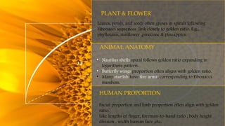 GOLDEN RATIO : divine proportion .pptx