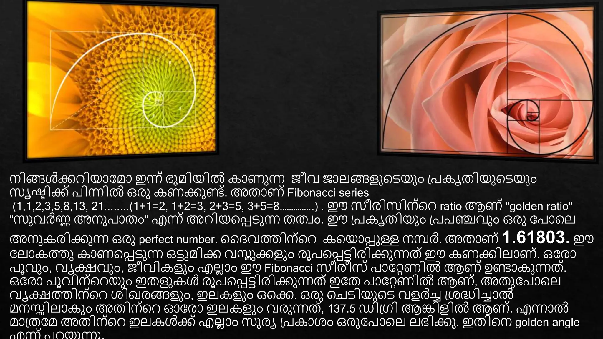 golden ratio power point file with animation.pptx