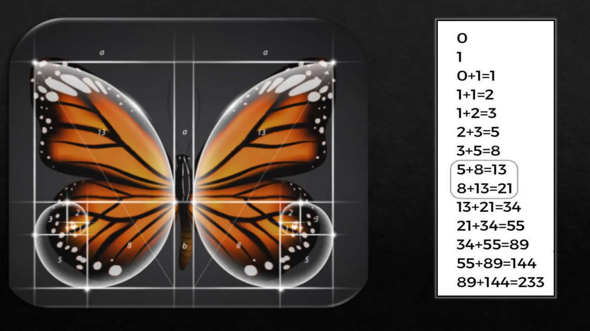 golden ratio power point file with animation.pptx