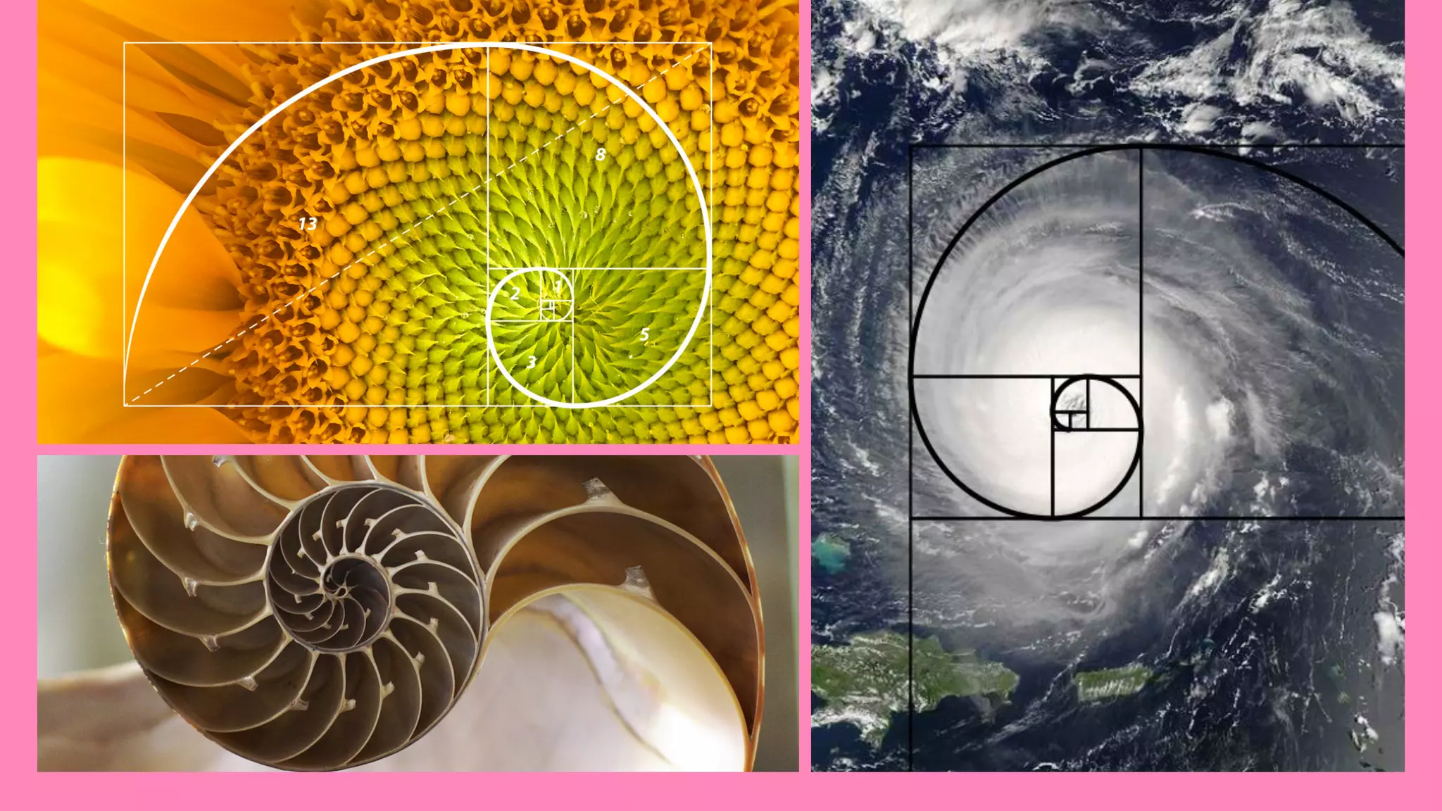 Golden ratio presentation | PPT