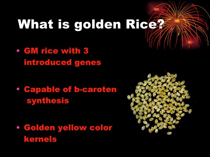 Golden rice