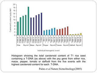 Golden Rice Graphs