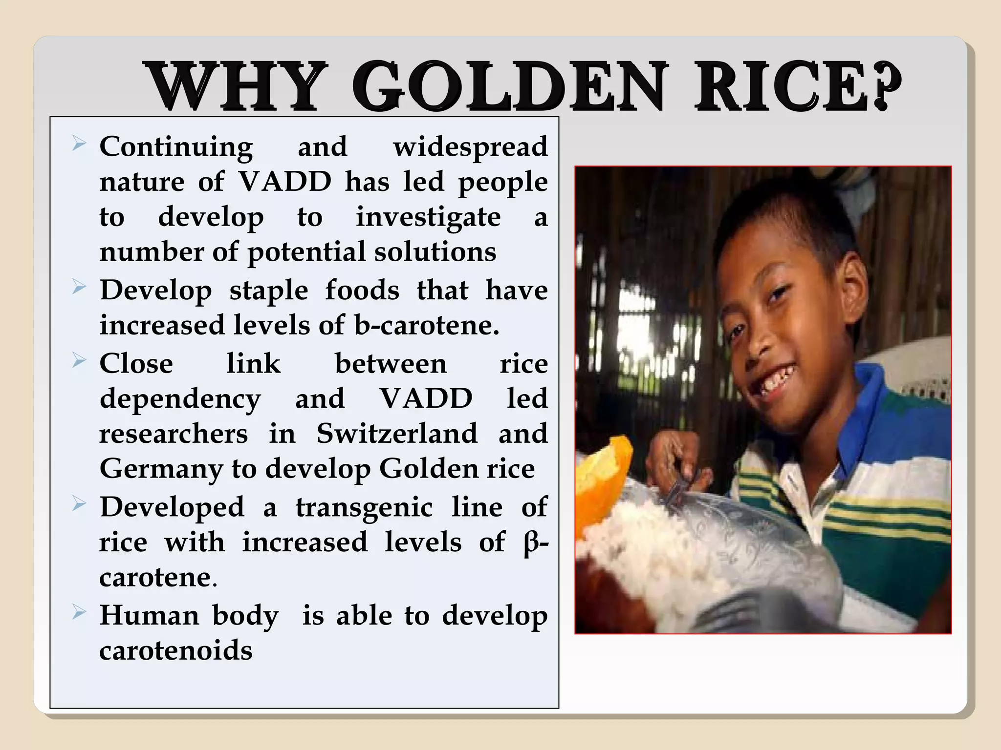 Golden rice | PPT