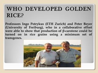 Golden rice | PPT