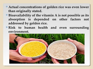 Golden Rice Benefits