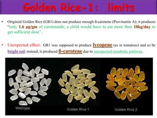 Golden rice | PPTX