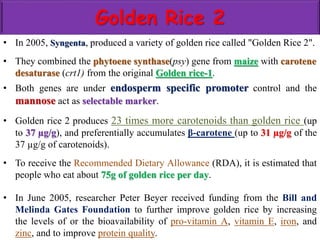 Golden rice | PPTX