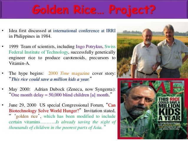 Golden rice
