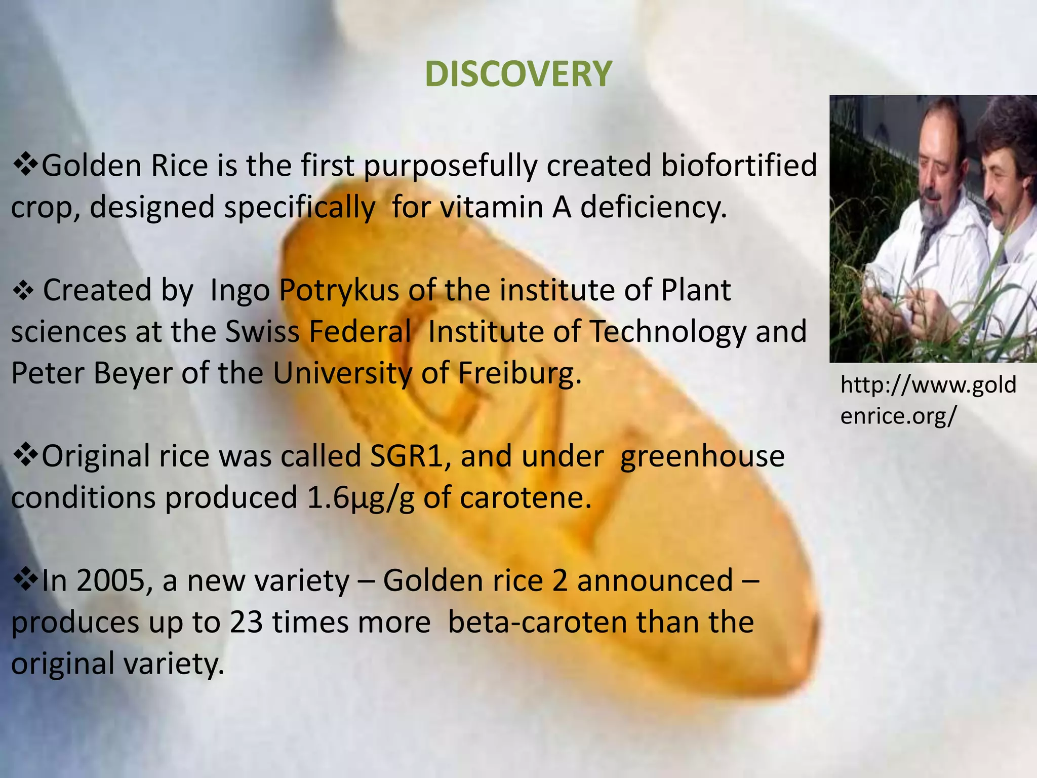 Golden rice | PPTX