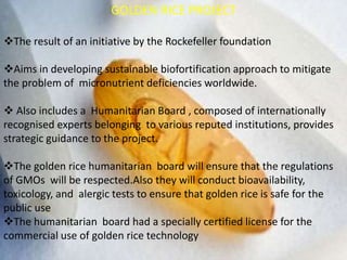 Golden rice | PPTX