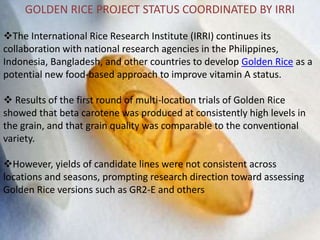 Golden rice | PPTX