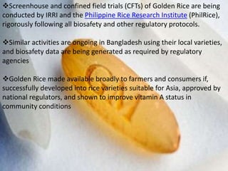 Golden rice | PPTX
