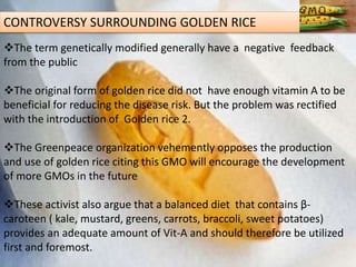 Golden rice | PPTX