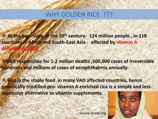 Golden rice | PPTX