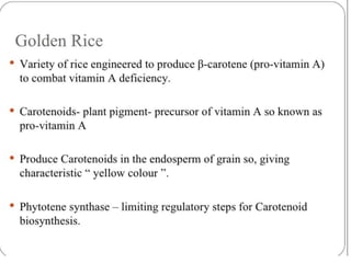 Golden rice | PPTX