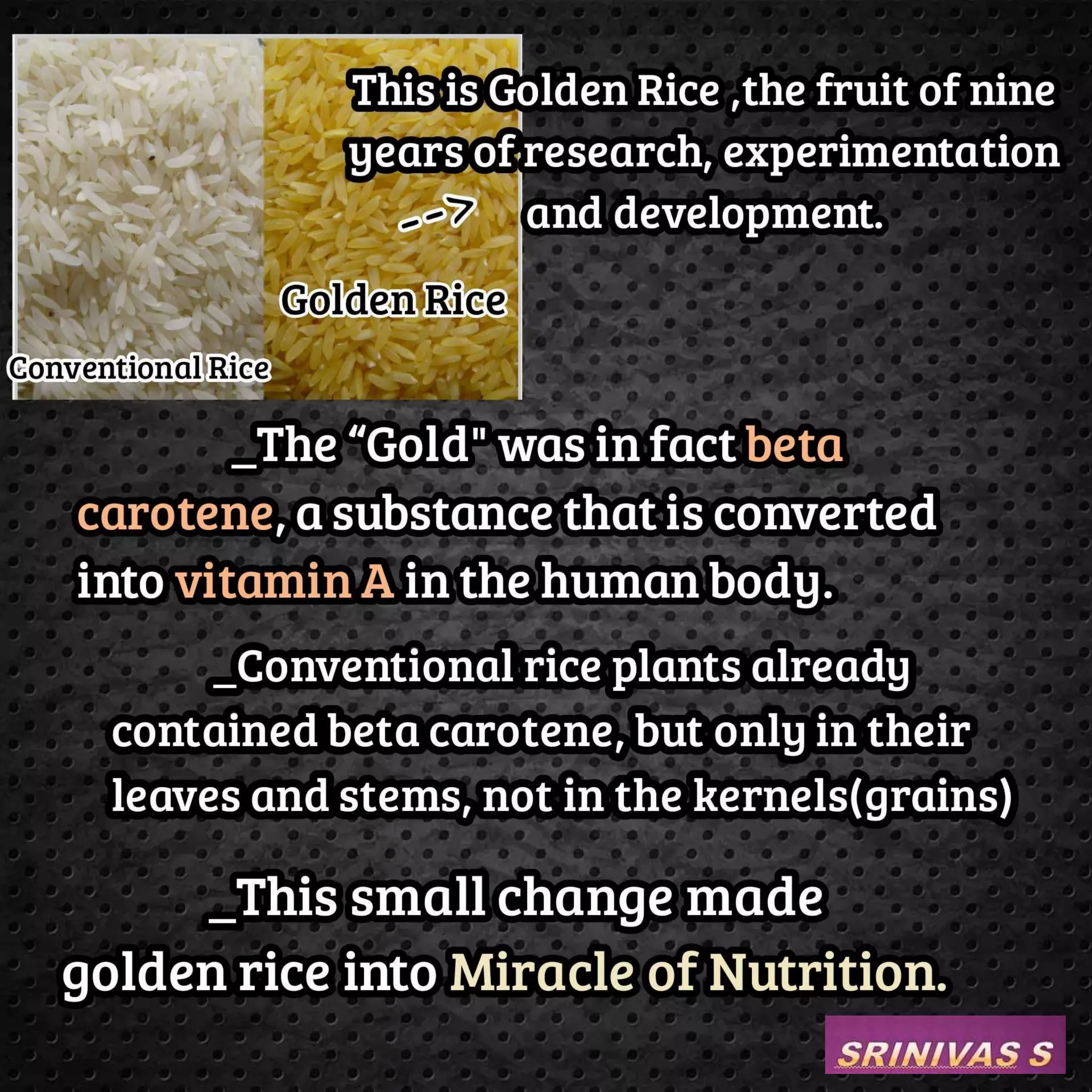 Golden Rice.pptx