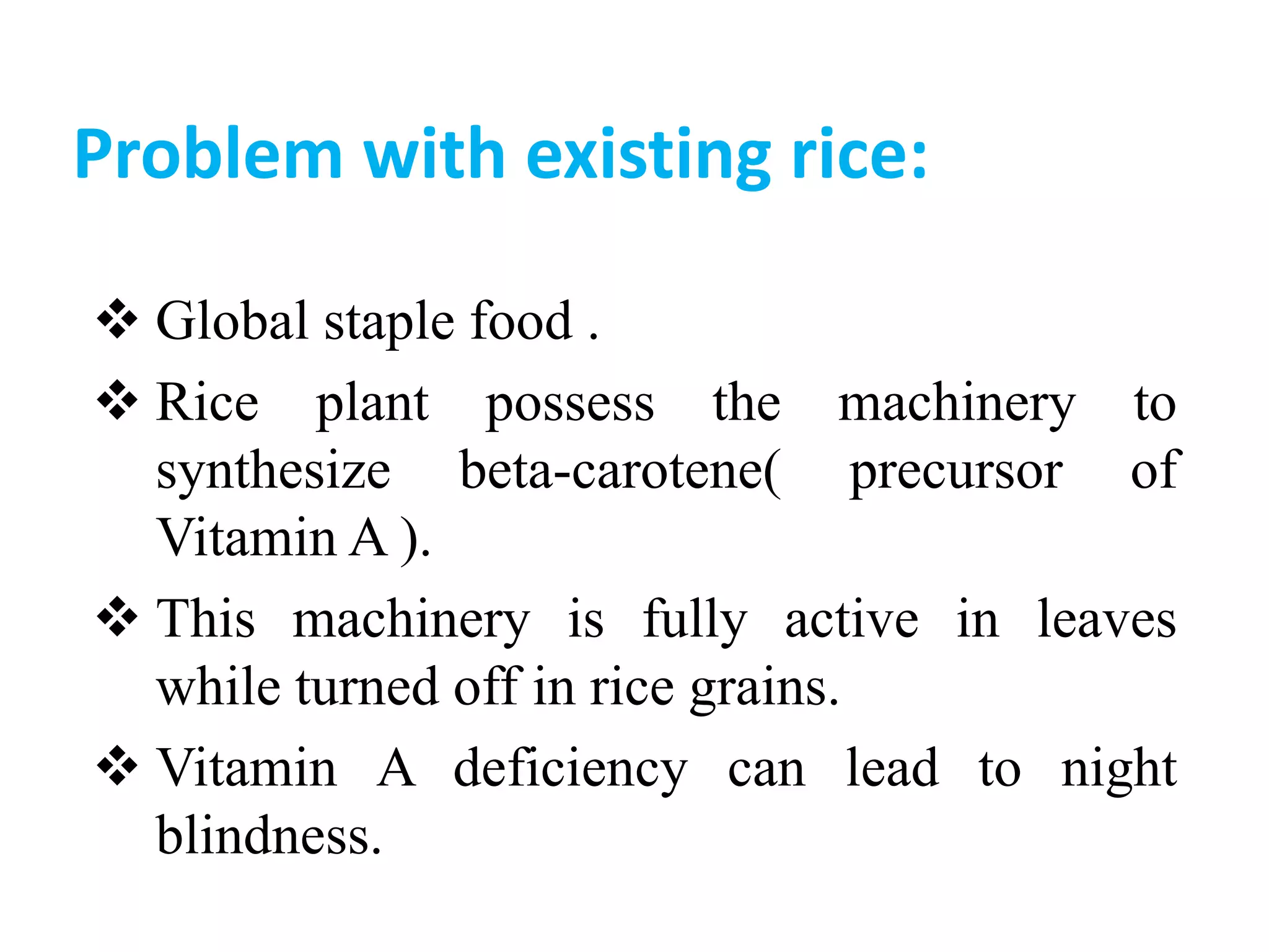 GOLDEN RICE.pptx