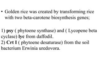 GOLDEN RICE.pptx