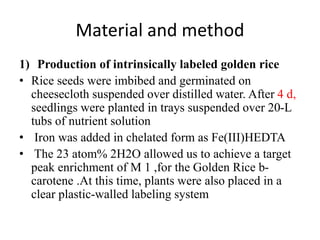 Golden rice.pptx