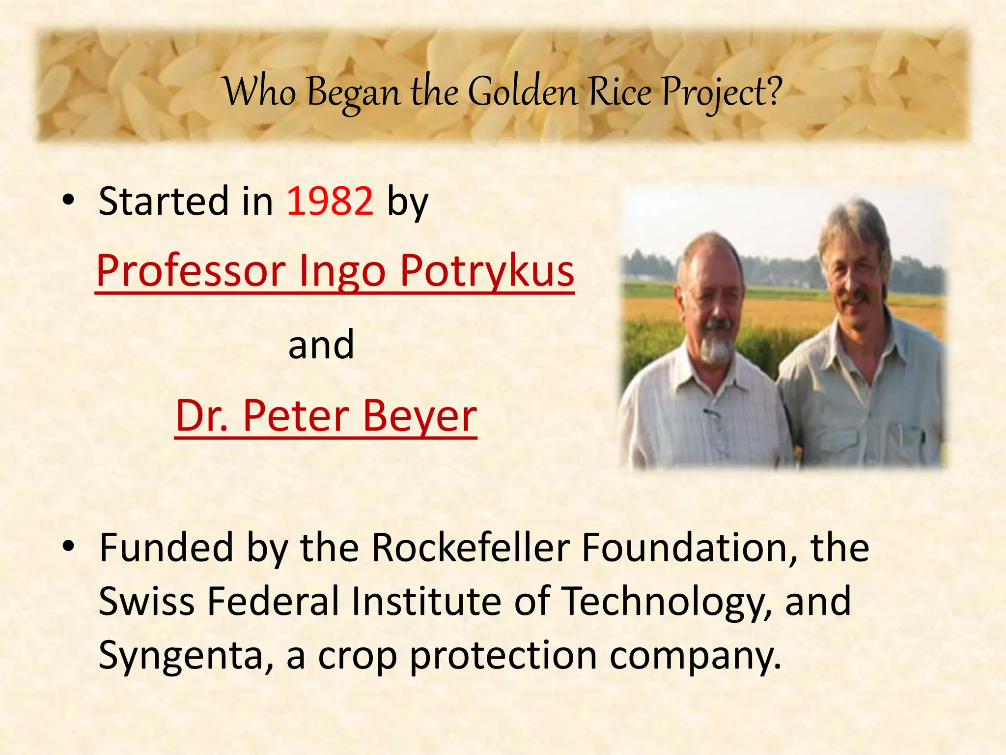 1 Golden Rice: Shining a Light on Vitamin A Deficiency | PPTX