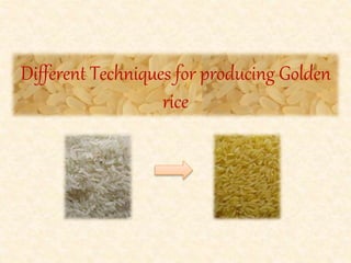 1 Golden Rice: Shining a Light on Vitamin A Deficiency | PPTX