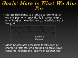 Golden rice by utkarsh | PPT