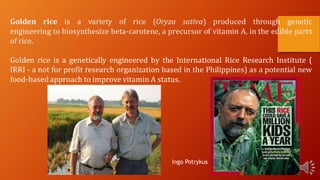 Golden Rice | PDF