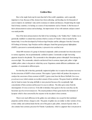 Golden rice paper | DOCX