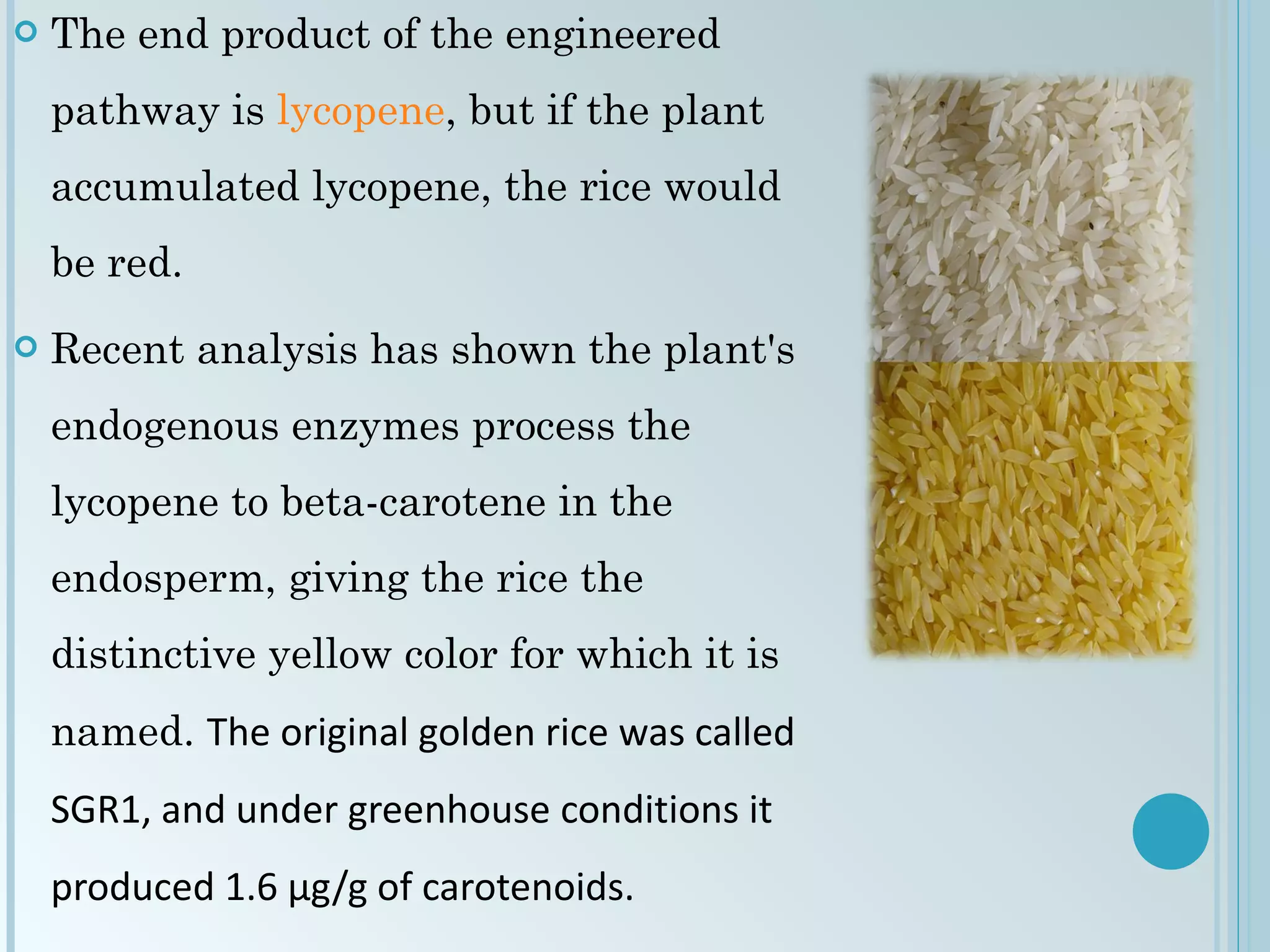 Golden rice ppt | PPT