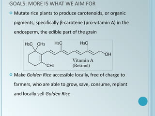 Golden rice ppt | PPT