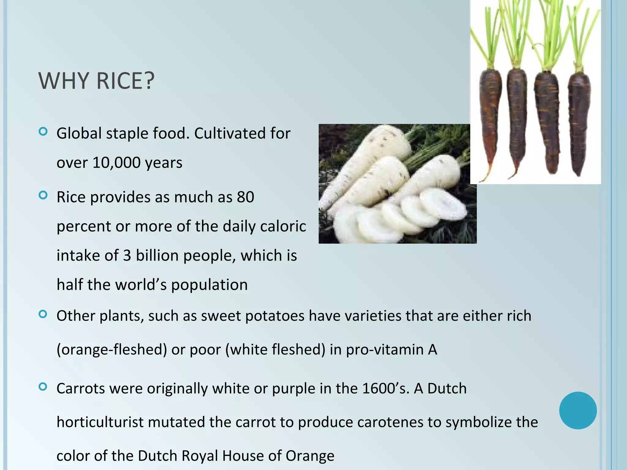 Golden rice ppt | PPT