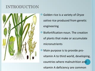 Golden rice ppt | PPT