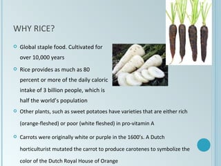 Golden rice ppt | PPT