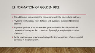 Golden rice technology | PPTX