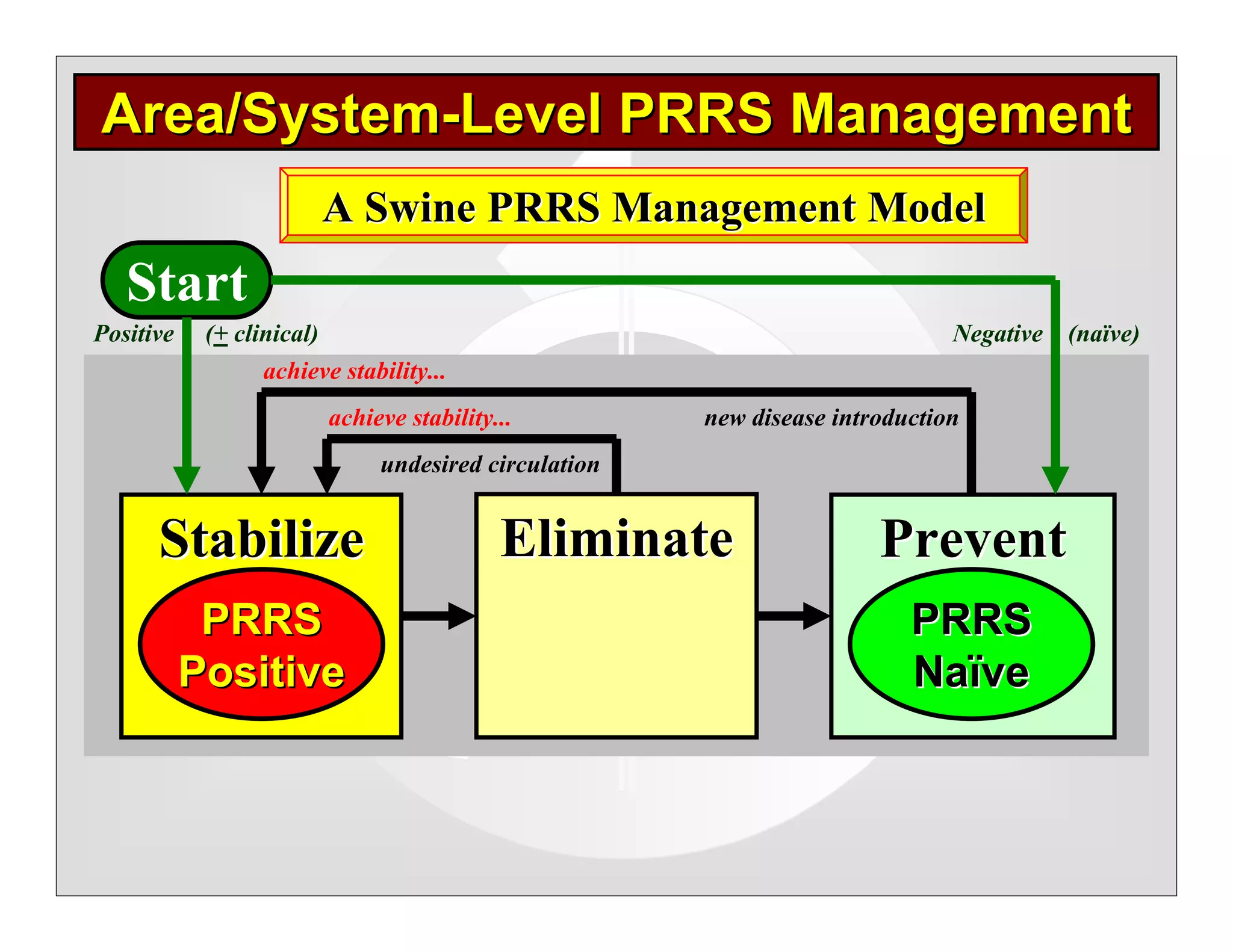 Dr. Dale Polson - "Golden Rule" PRRS Control | PDF