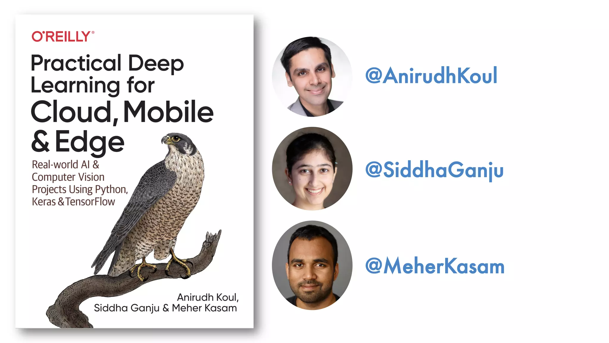 Anirudh Koul. 30 Golden Rules of Deep Learning Performance | PPT