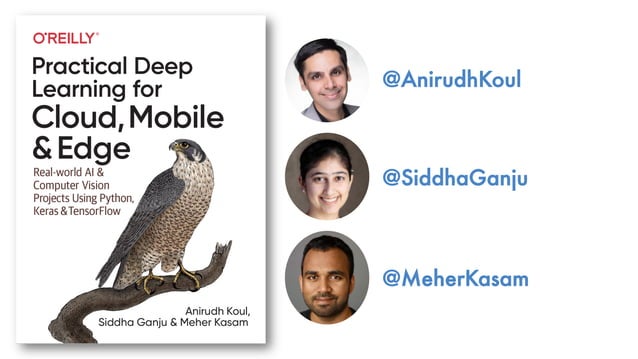 Anirudh Koul. 30 Golden Rules of Deep Learning Performance | PPT