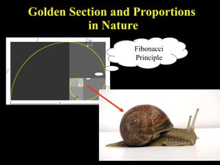 Golden Section | PPT