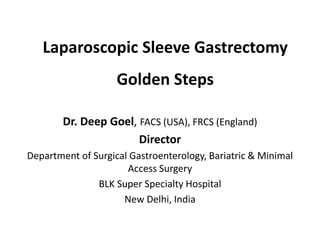 Golden steps to perform laparoscopic sleeve gastrectomy | PPTX