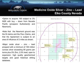 Golden tiger june2013_b | PDF | Commodities | Economy
