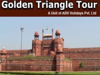 Golden triangle | PPTX