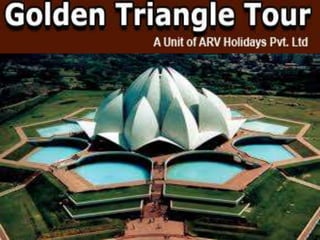 Golden triangle | PPTX