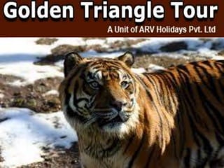 Golden triangle india | PPT | Free Download