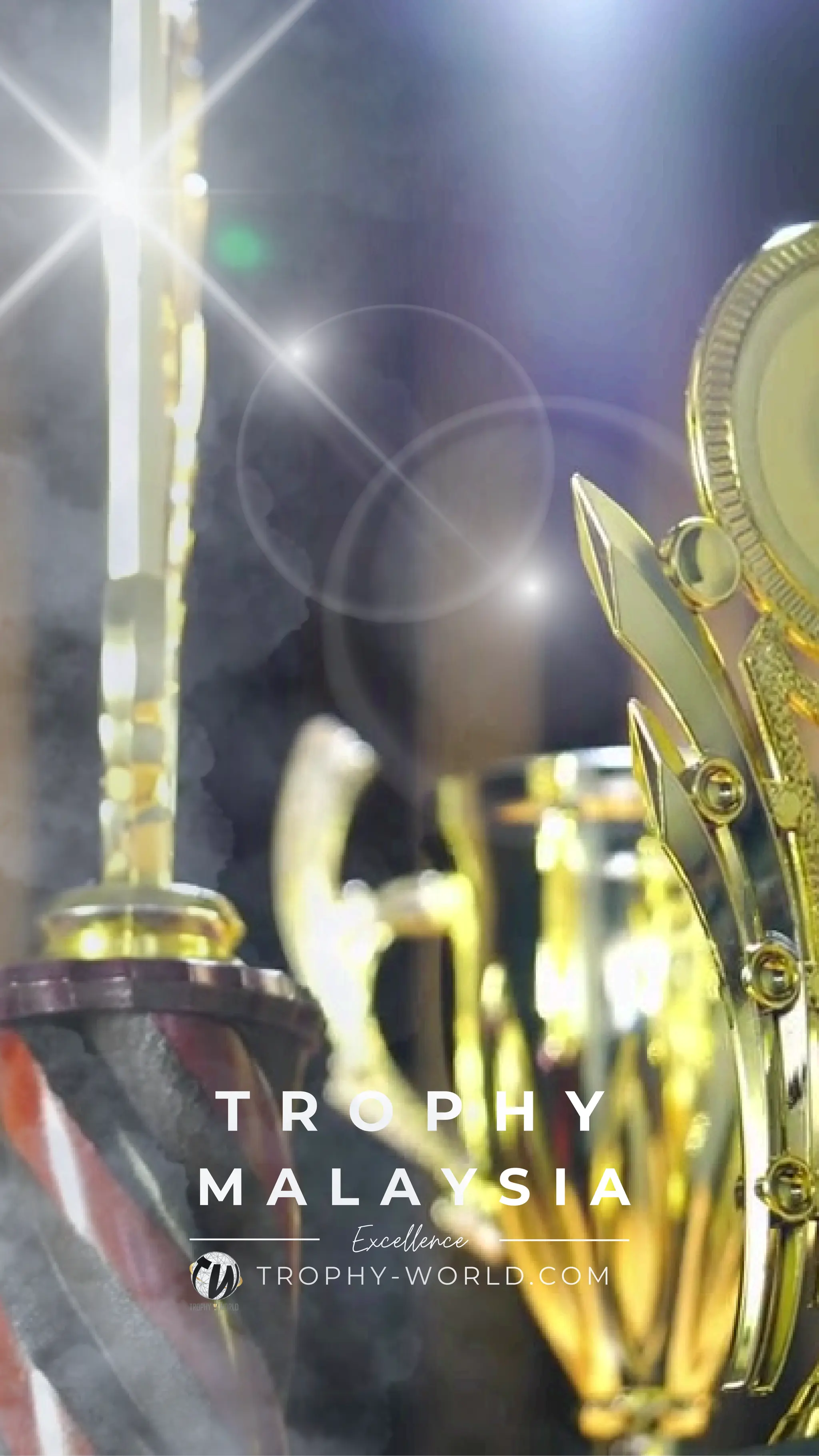 Golden Trophies from Trophy-World Malaysia | Custom Trophies & Plaques ...