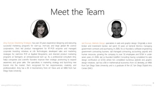 Over of Goldfish Consulting | PDF