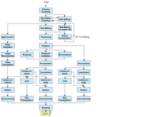 processing Gold ore | Rodger Allen Gold Mine | PPTX