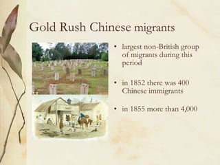 Gold Rush Australia Chinese Miners | PPT