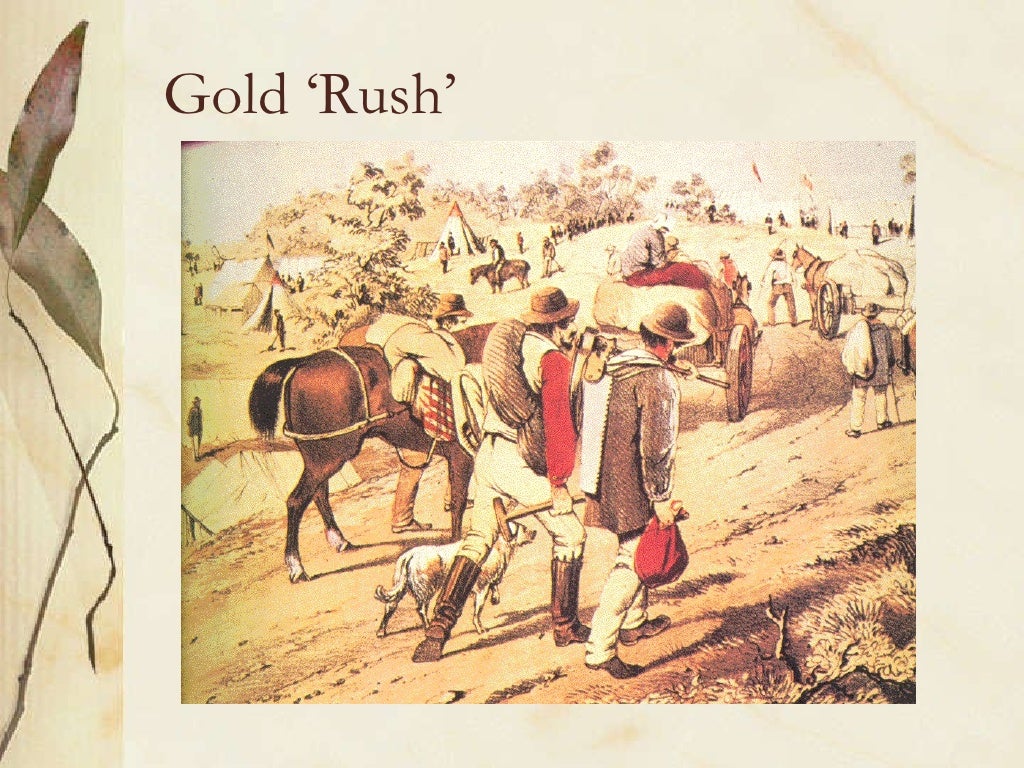Gold Rush Australia Chinese Miners